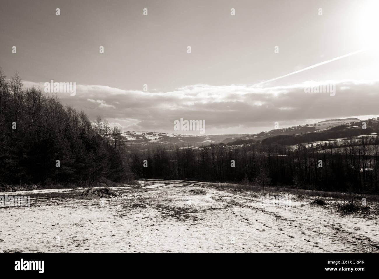 Image of Penallta Parc Hengoed Caerphilly Stock Photo - Alamy