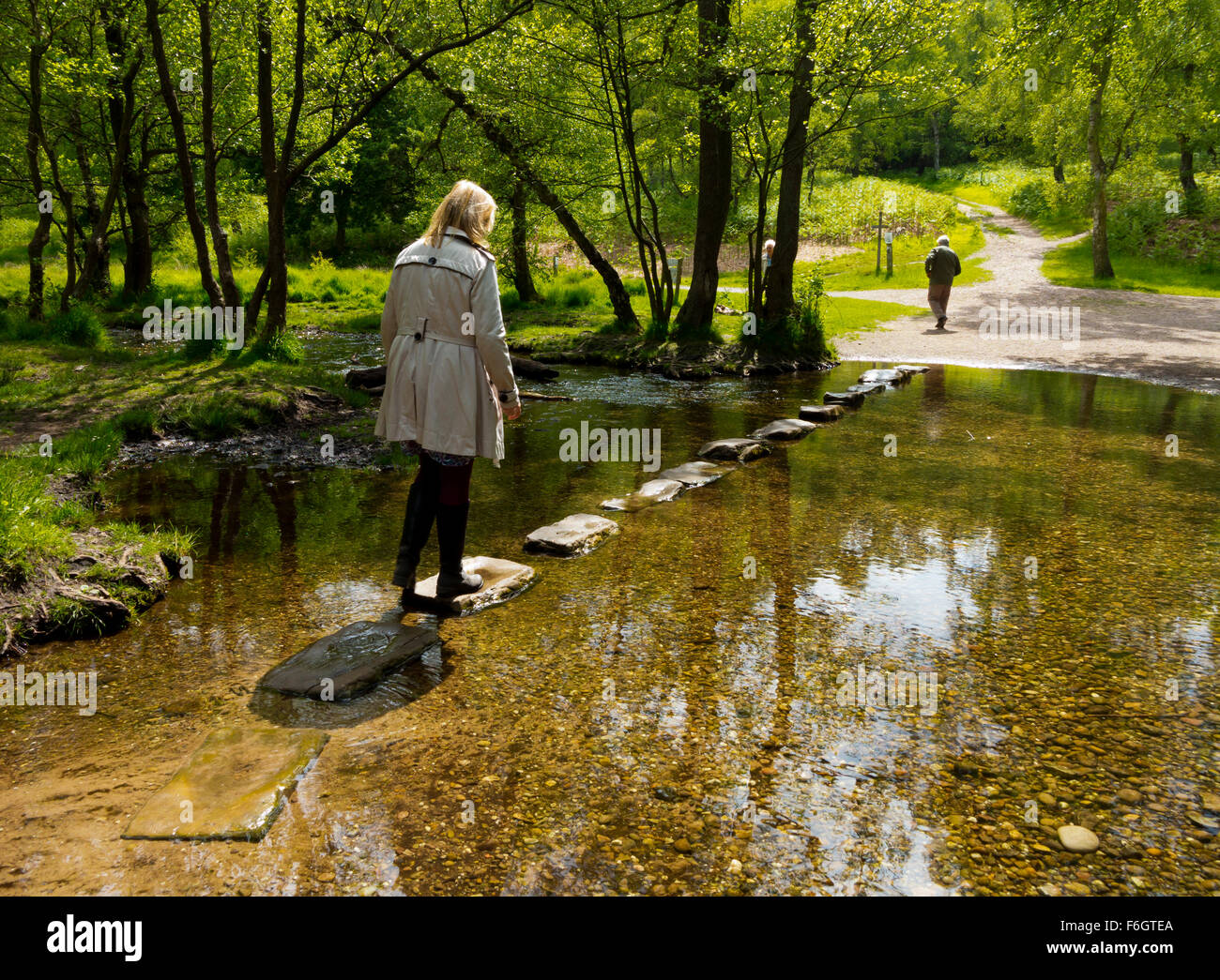 Stepping cannock chase aonb staffordshire hi-res stock photography and ...