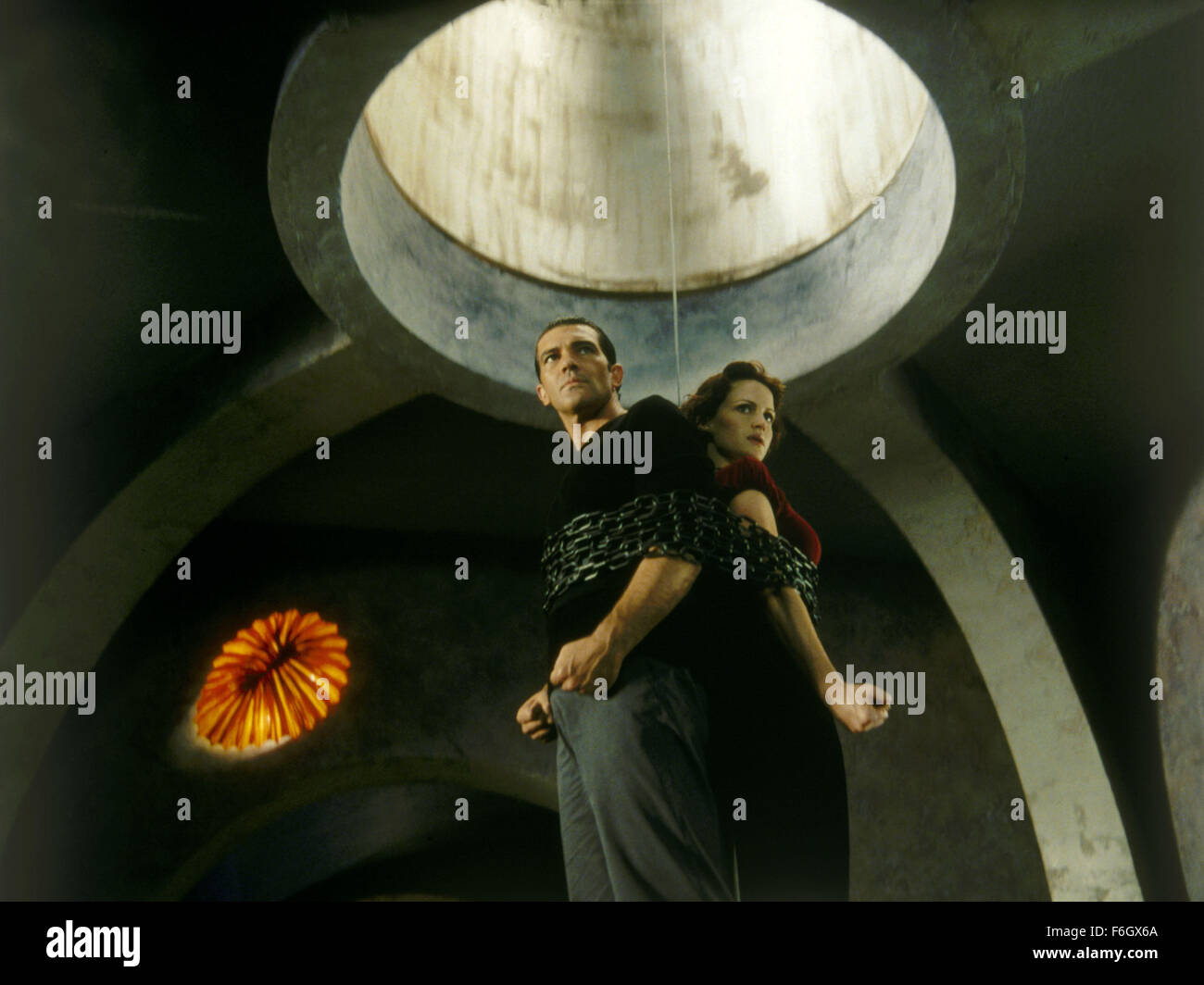 Ingrid Cortez's Instagram, Twitter & Facebook on IDCrawl