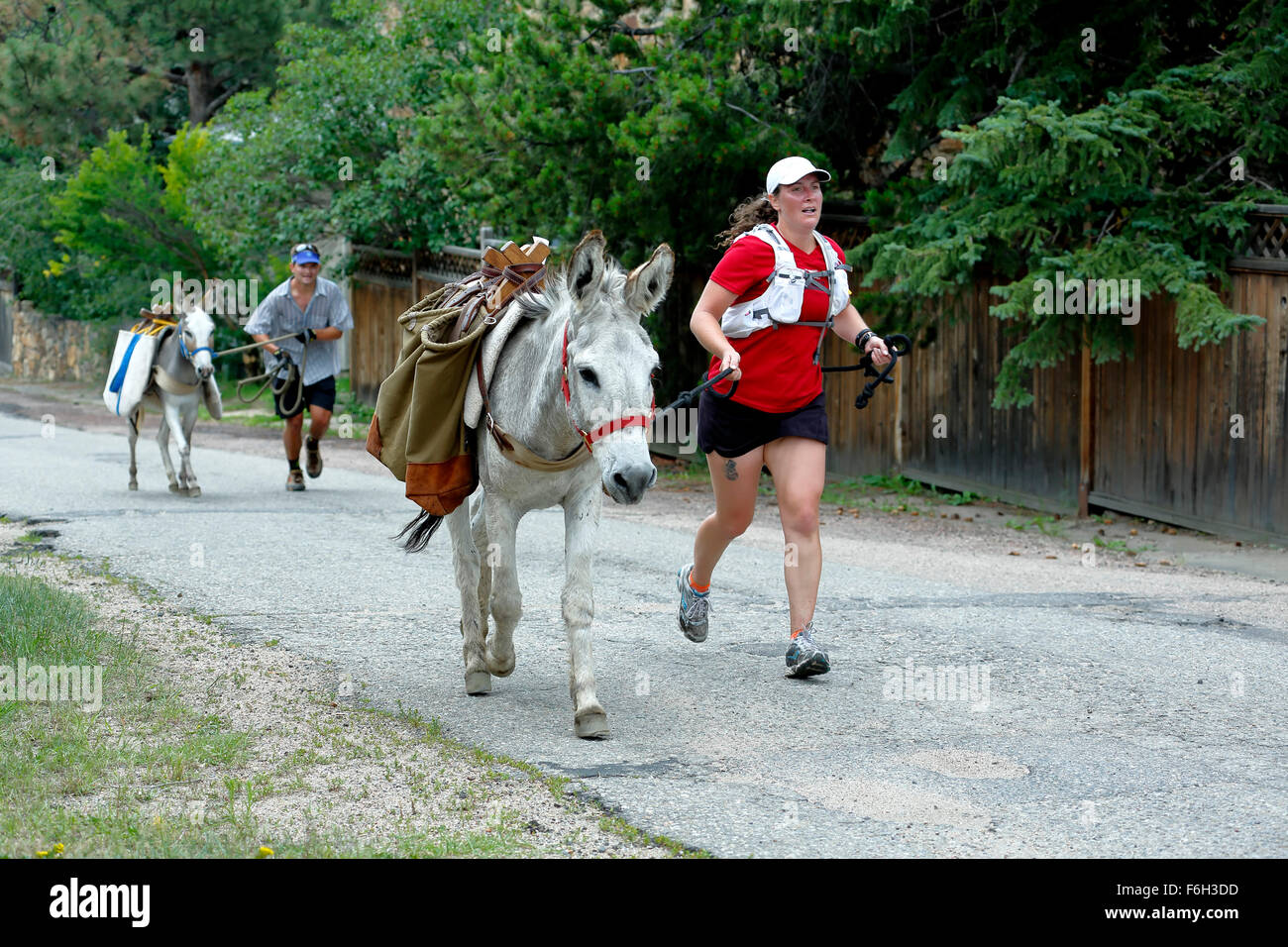 Runners and pack burros, Idaho Springs Tommyknockers Mining Days ...