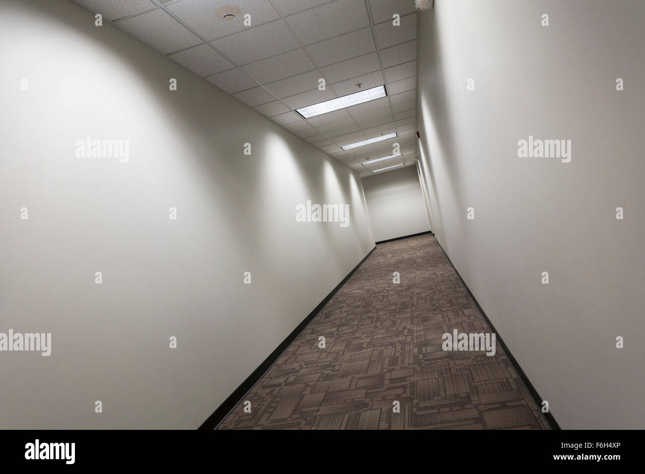 clean modern empty commercial hallway Stock Photo - Alamy