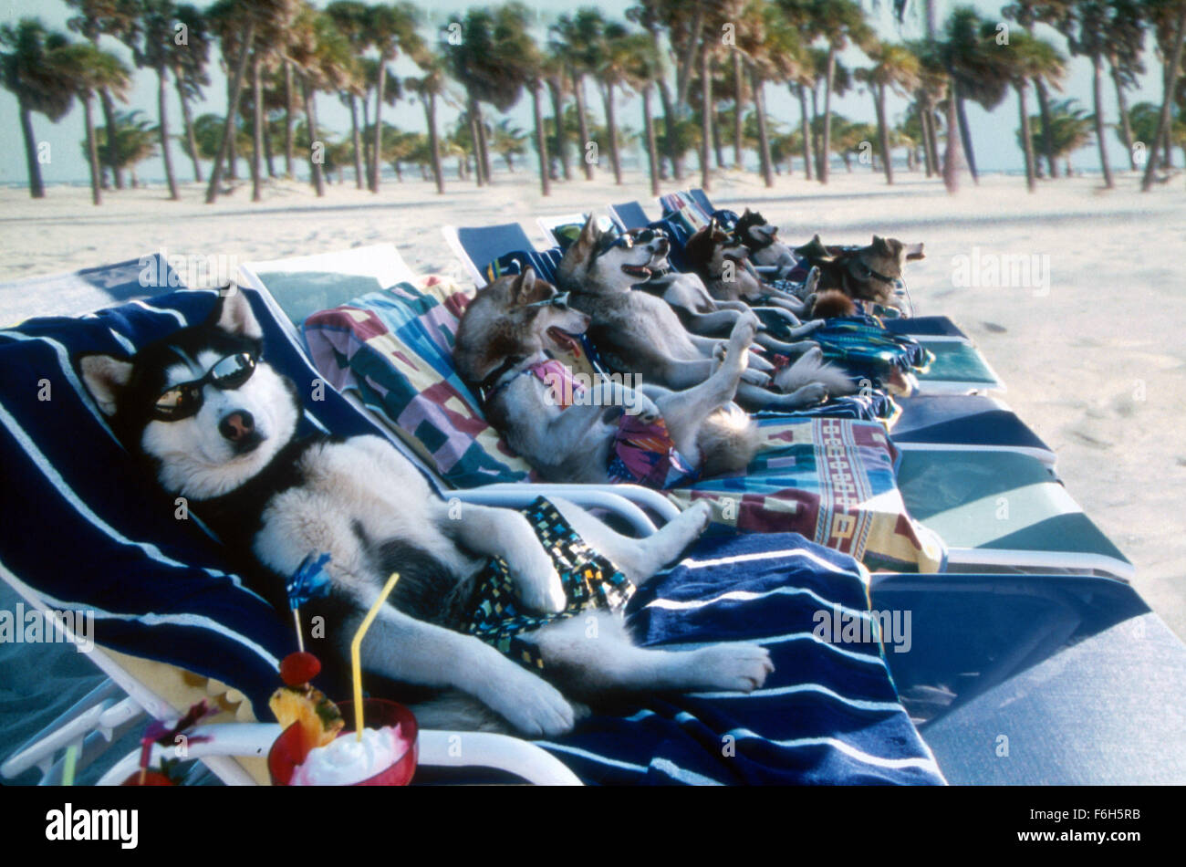Jan 18, 2002; Hollywood, CA, USA; Scene from the comedy ''Snow Dogs ...