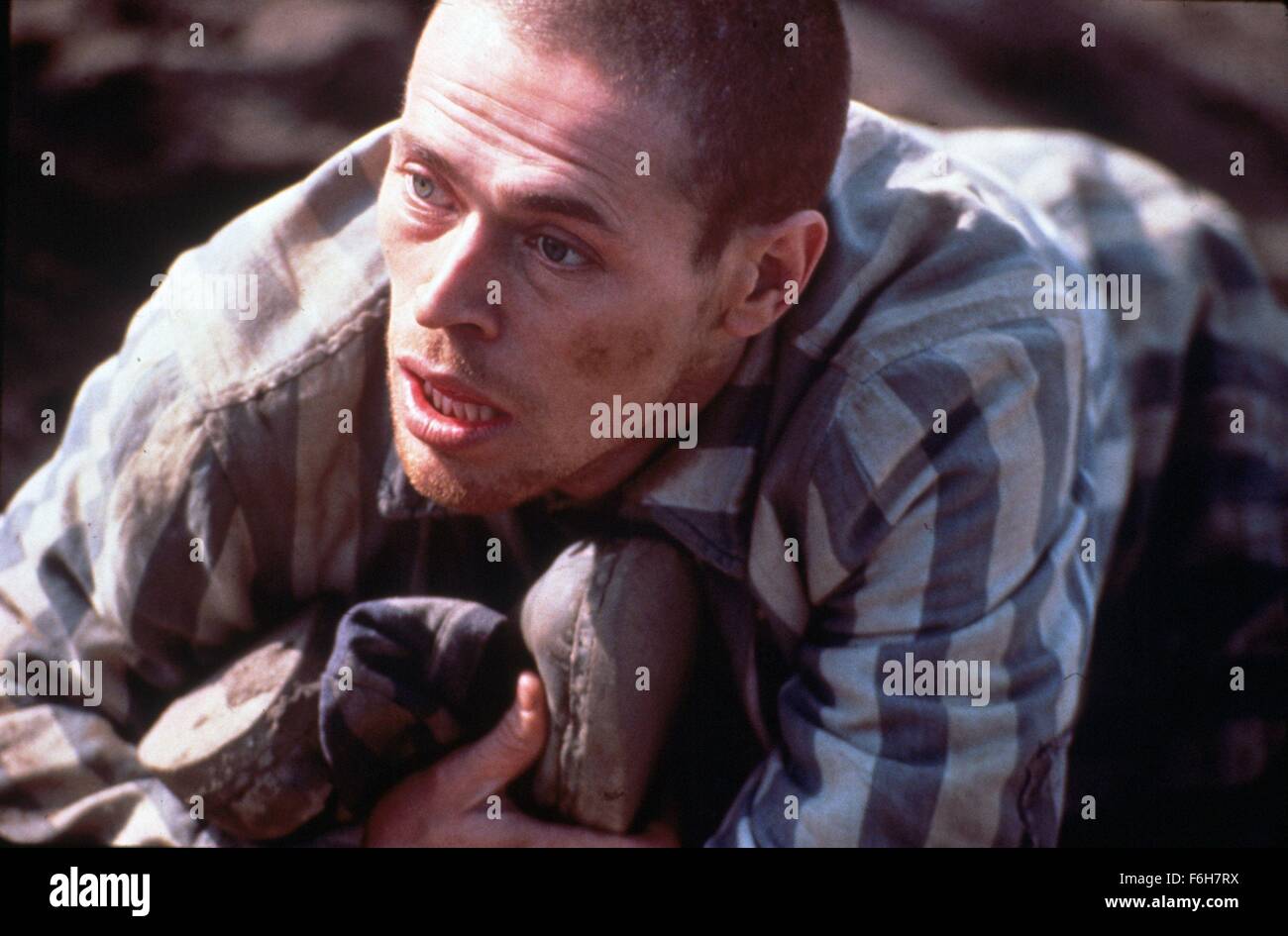 1989, Film Title: TRIUMPH OF THE SPIRIT, Director: ROBERT M YOUNG ...