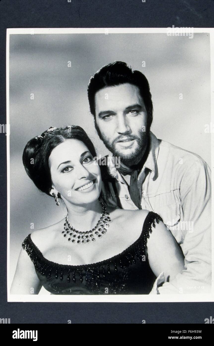 Ina Balin Oil Painting