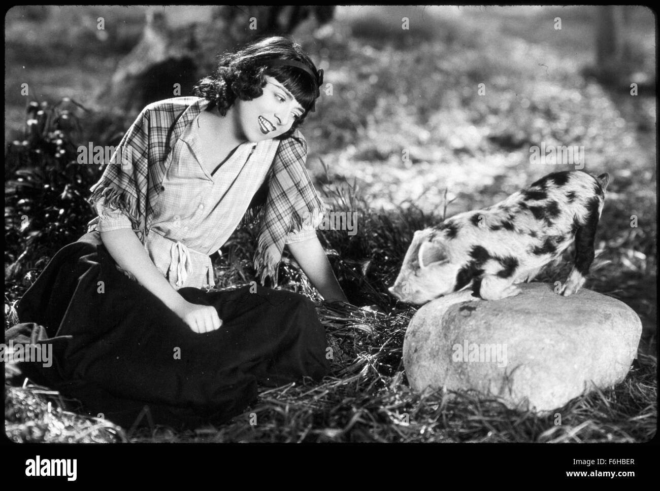 1929, Film Title: SMILING IRISH EYES, Pictured: ANIMALS (WITH ACTORS ...