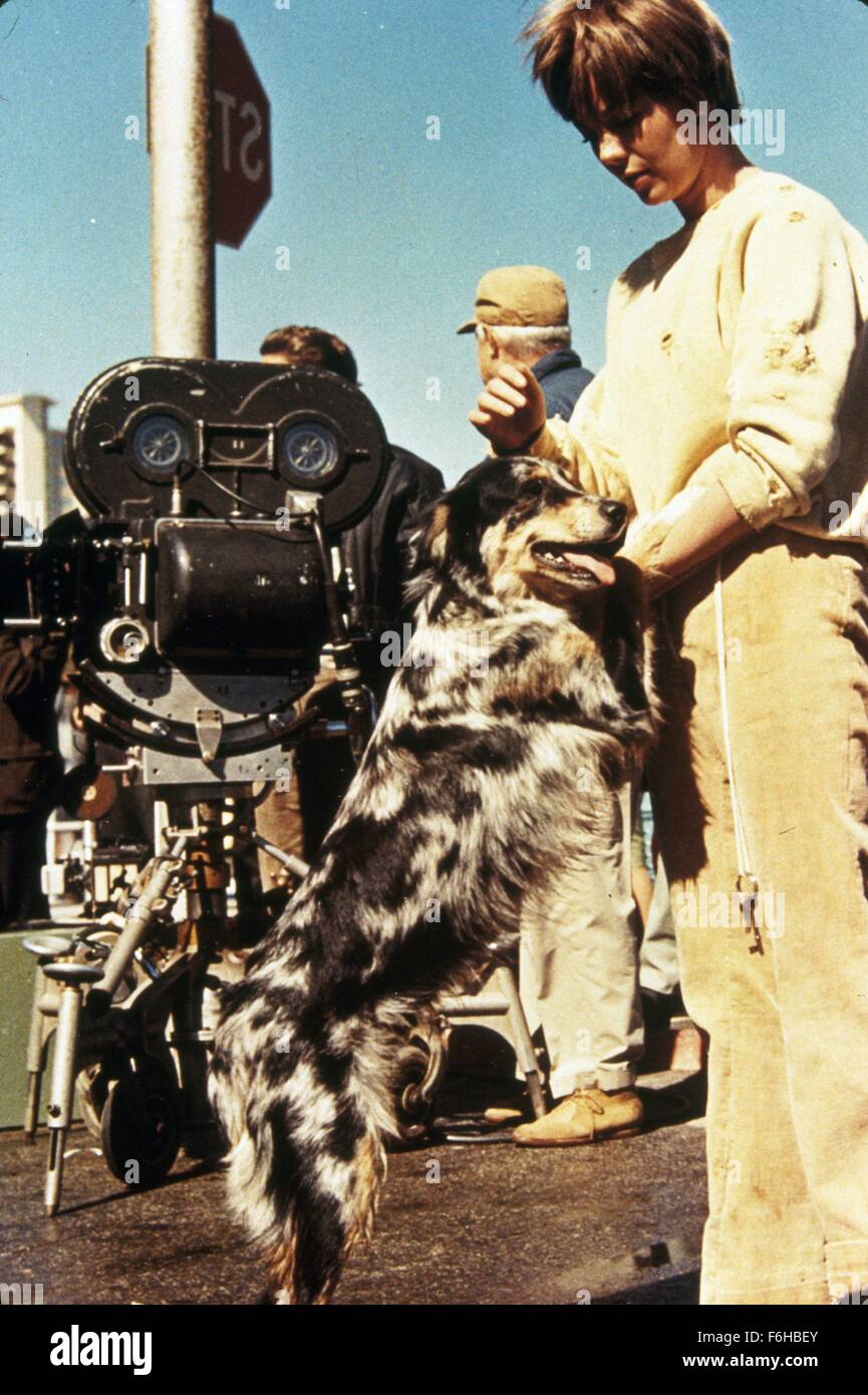 1965, Film Title: INSIDE DAISY CLOVER, Director: ROBERT MULLIGAN ...