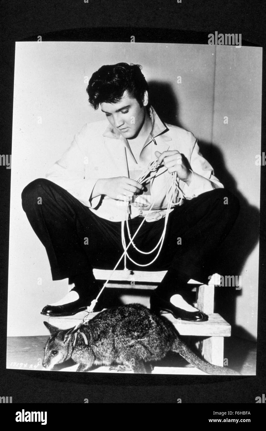 1957, Film Title: JAILHOUSE ROCK, Director: RICHARD THORPE, Studio: MGM ...