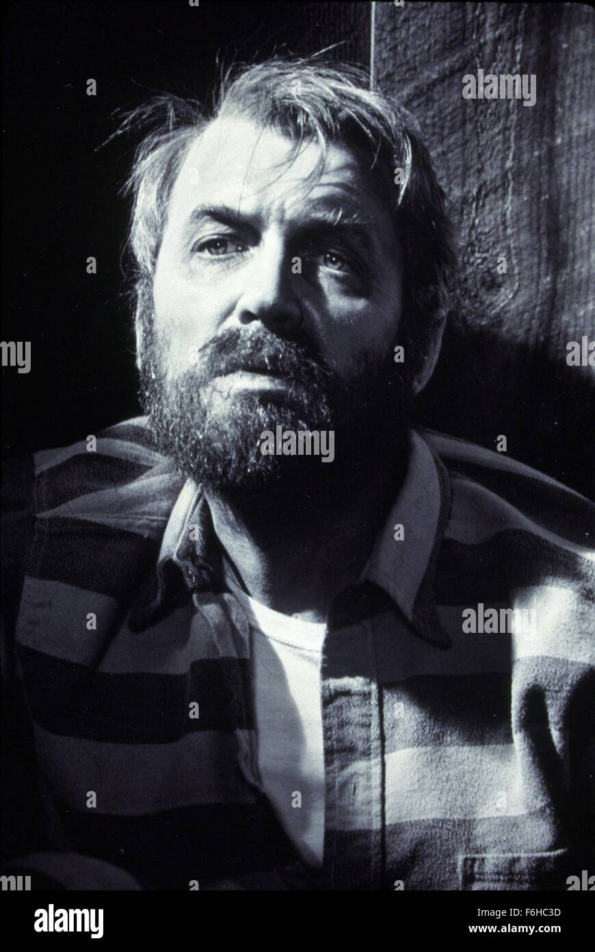 1952, Film Title: CARBINE WILLIAMS, Director: RICHARD THORPE, Studio ...