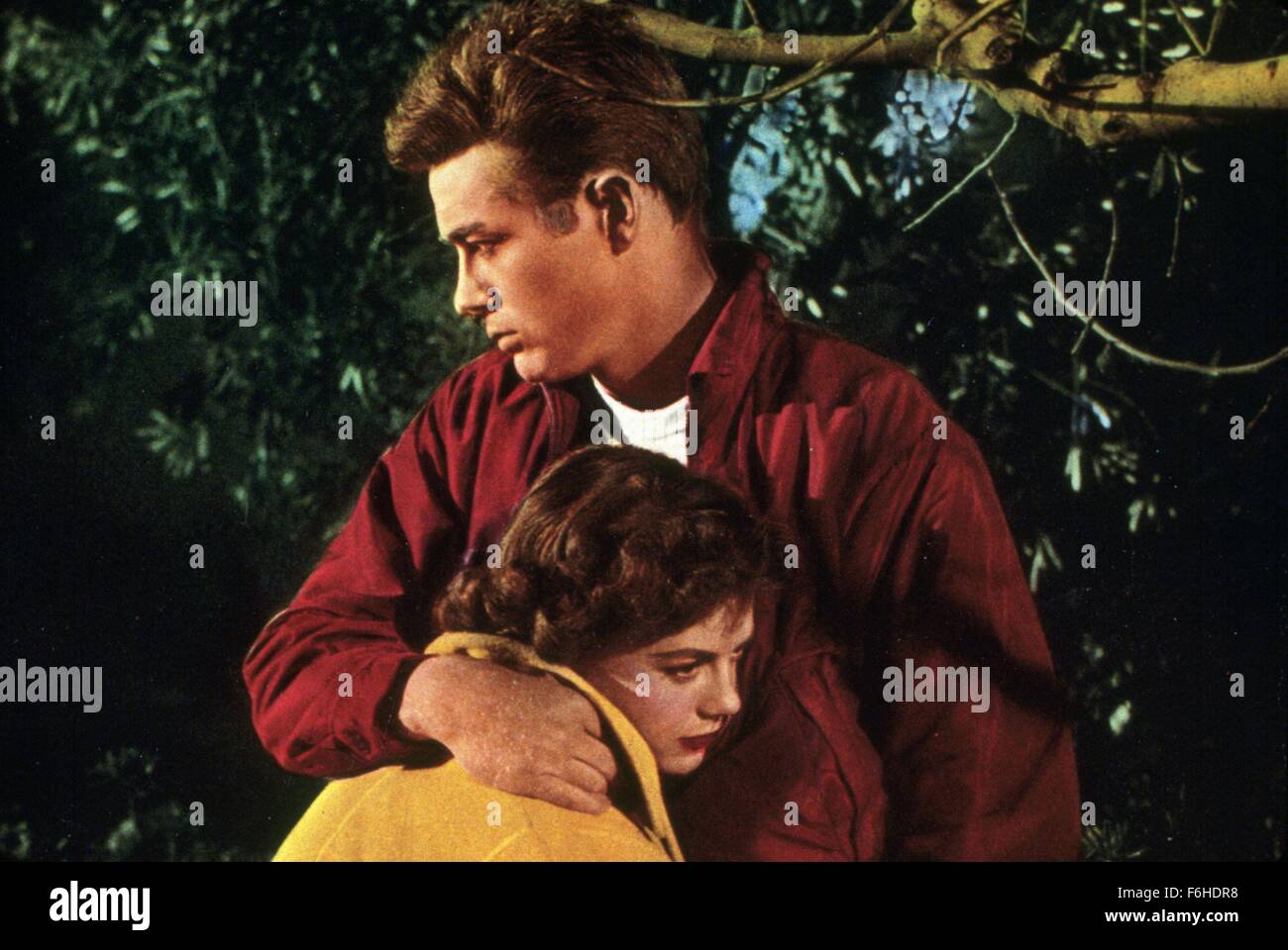 1955, Film Title: REBEL WITHOUT A CAUSE, Director: NICHOLAS RAY, Studio ...