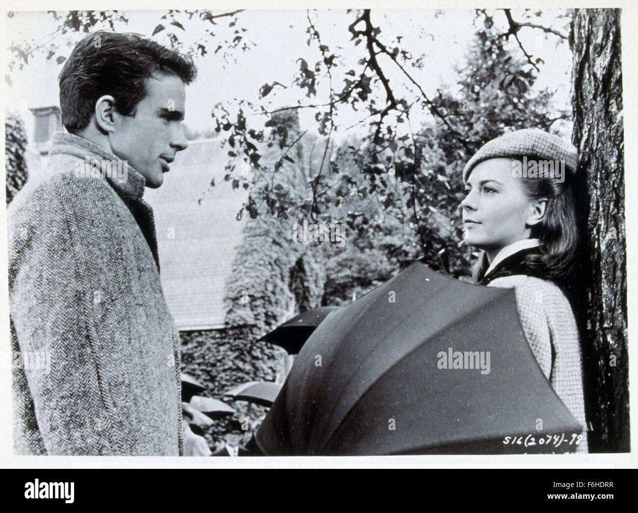 Splendor in the grass hi-res stock photography and images - Alamy