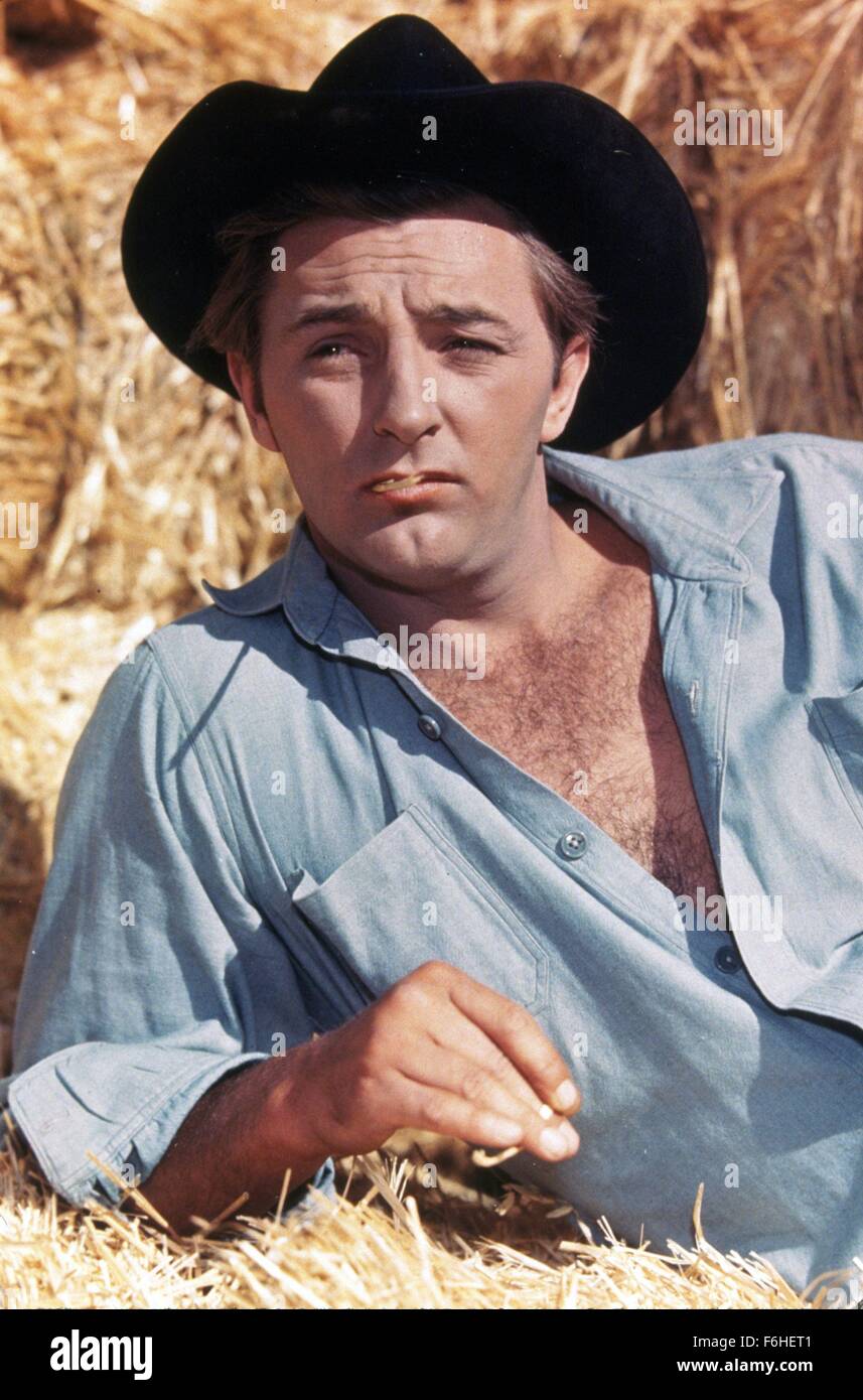 1948, Film Title: RED PONY, Director: LEWIS MILESTONE, Studio: REPUBLIC ...