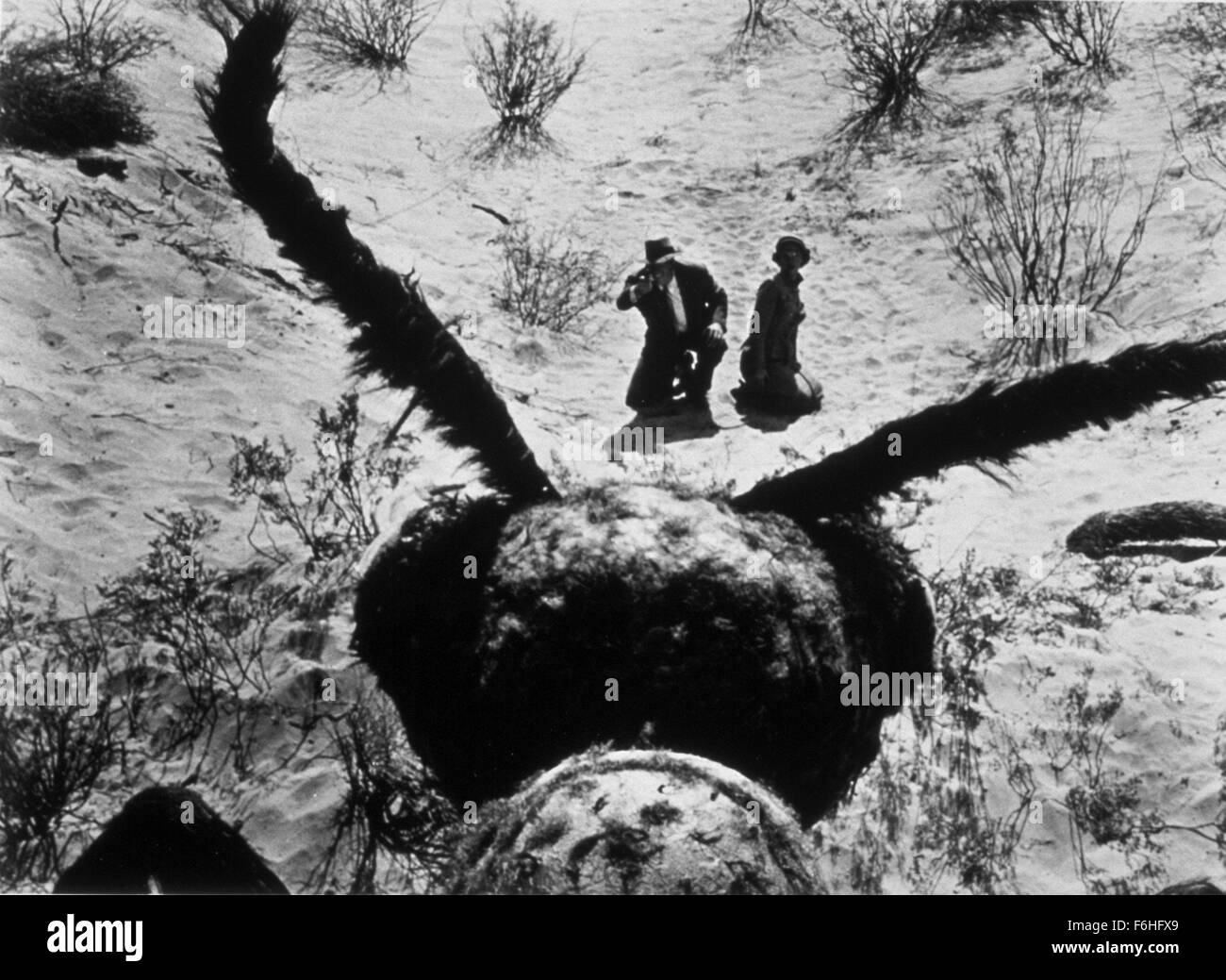 1954, Film Title: THEM!, Director: DAVID WEISBART, Studio: WARNER ...