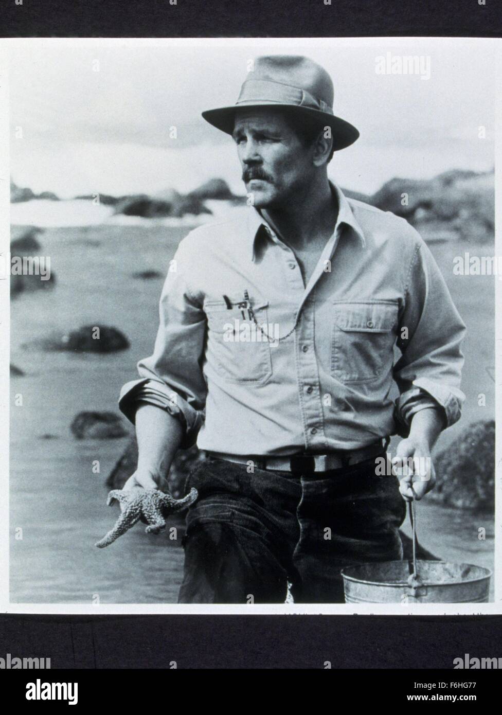 David canning hi-res stock photography and images - Alamy