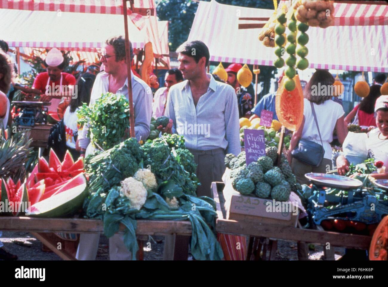 RELEASE DATE: February 17, 1984 MOVIE TITLE: Blame It on Rio DIRECTOR ...