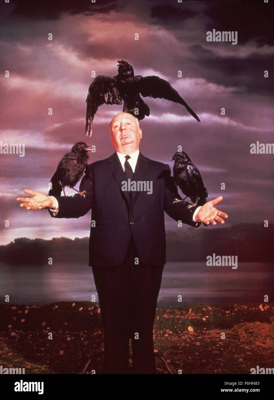 The birds 1963 hitchcock hi-res stock photography and images - Alamy