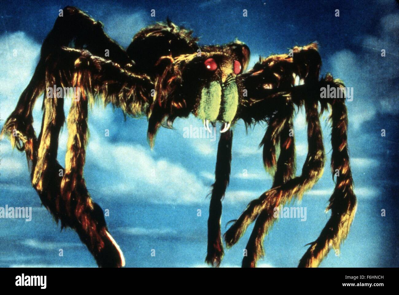 Horror movie giant spider tarantula hi-res stock photography and images ...