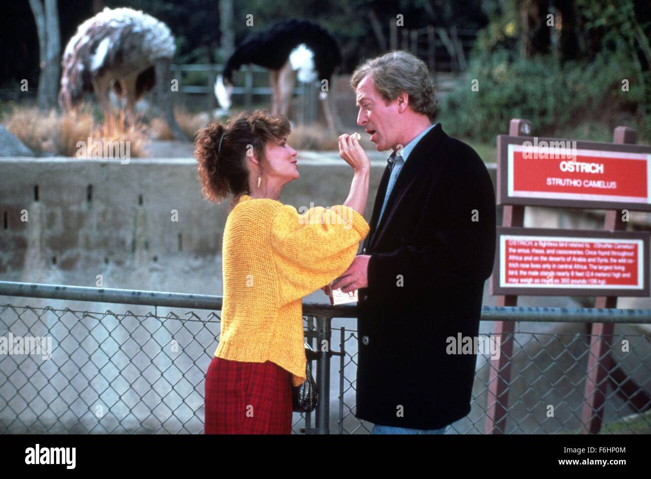 1987, Film Title: SURRENDER, Director: JERRY BELSON, Studio: CANNON ...