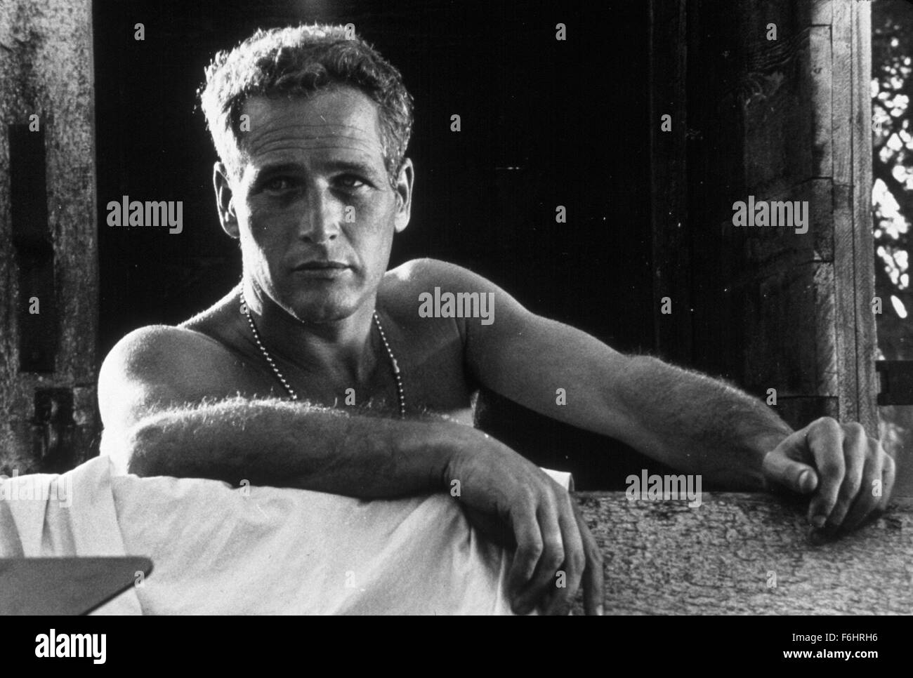 1967, Film Title: COOL HAND LUKE, Director: STUART ROSENBERG, Studio ...