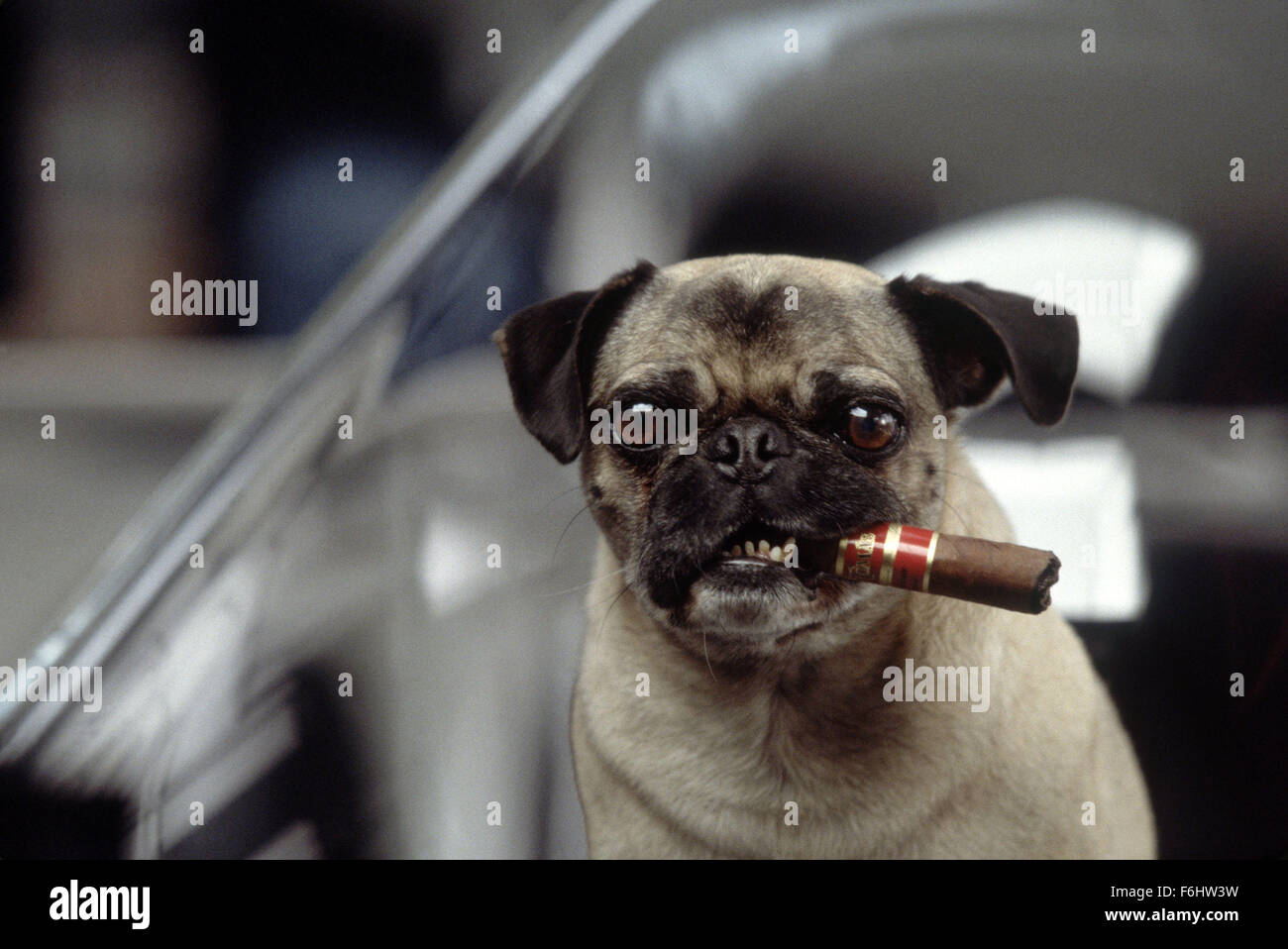 RELEASE DATE: July 3, 2002 MOVIE TITLE: Men in Black II STUDIO ...
