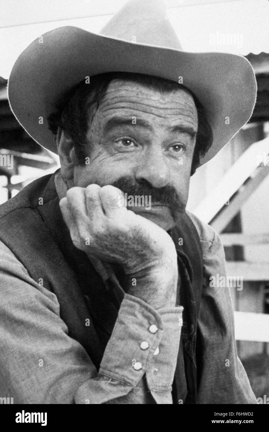 1978, Film Title: CASEY'S SHADOW, Director: MARTIN RITT, Studio ...