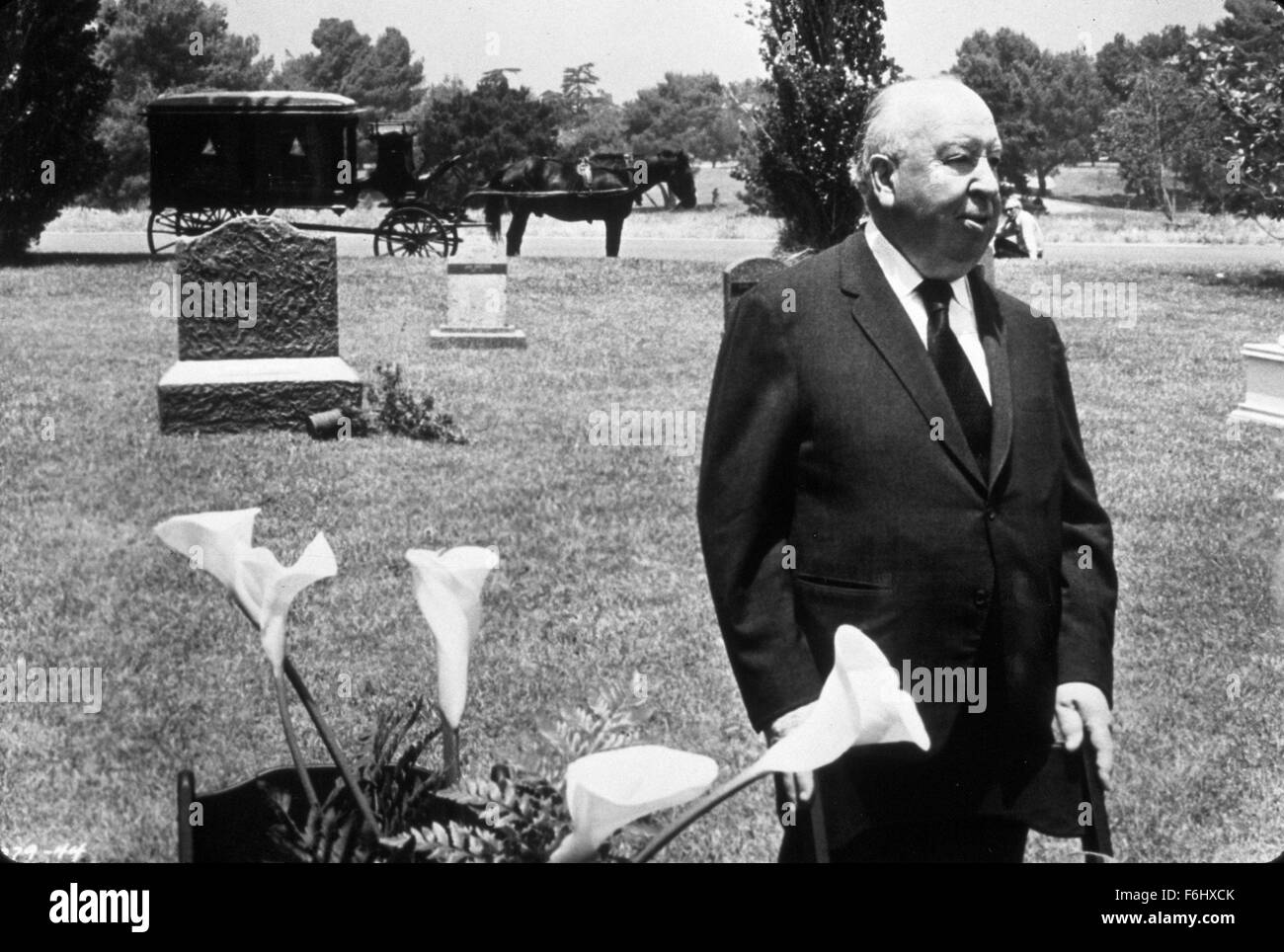 Alfred hitchcock family plot 1976 hi-res stock photography and images ...