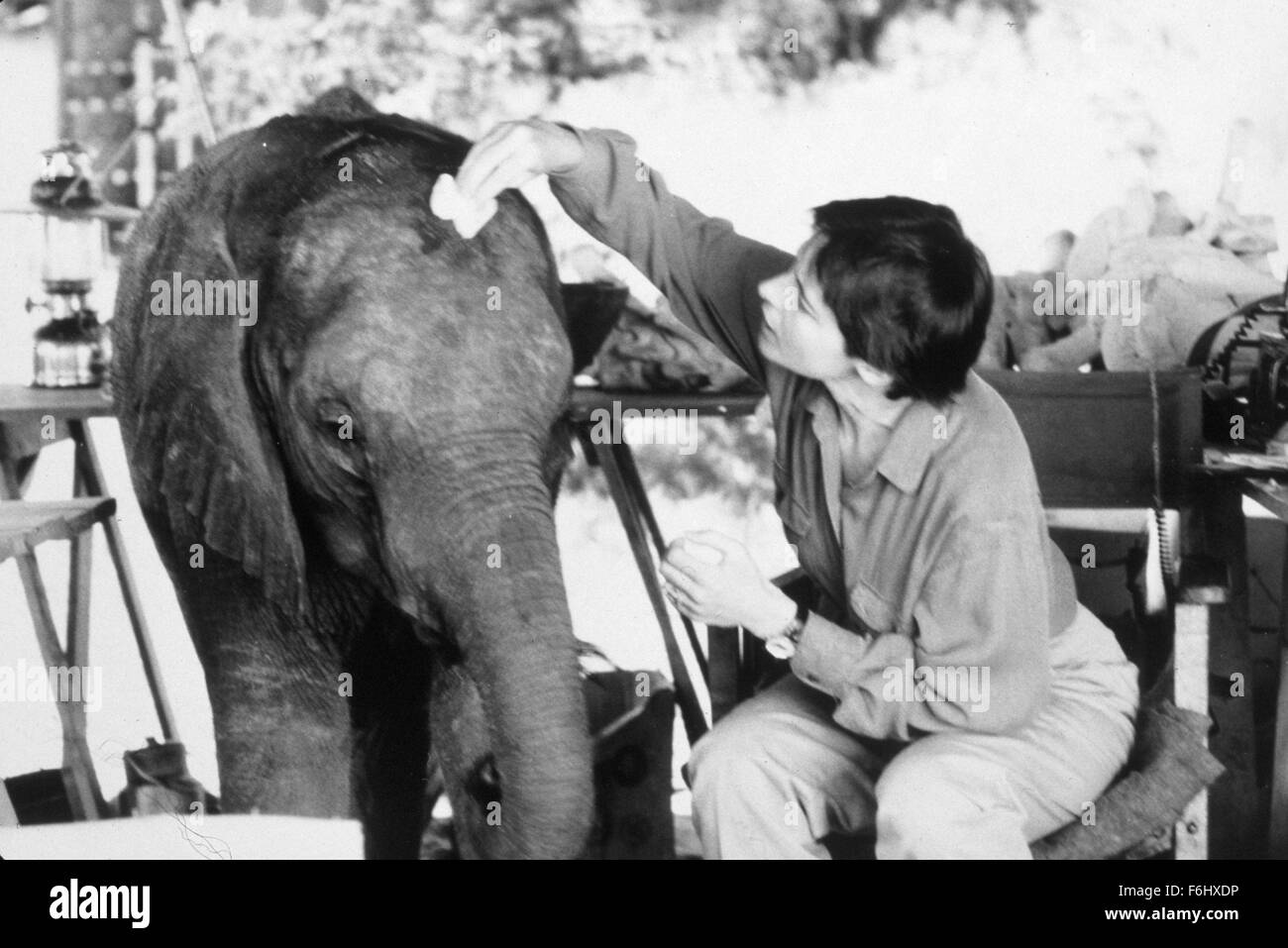 RELEASE DATE: August 20, 1990 MOVIE TITLE: Ivory Hunters aka Last ...
