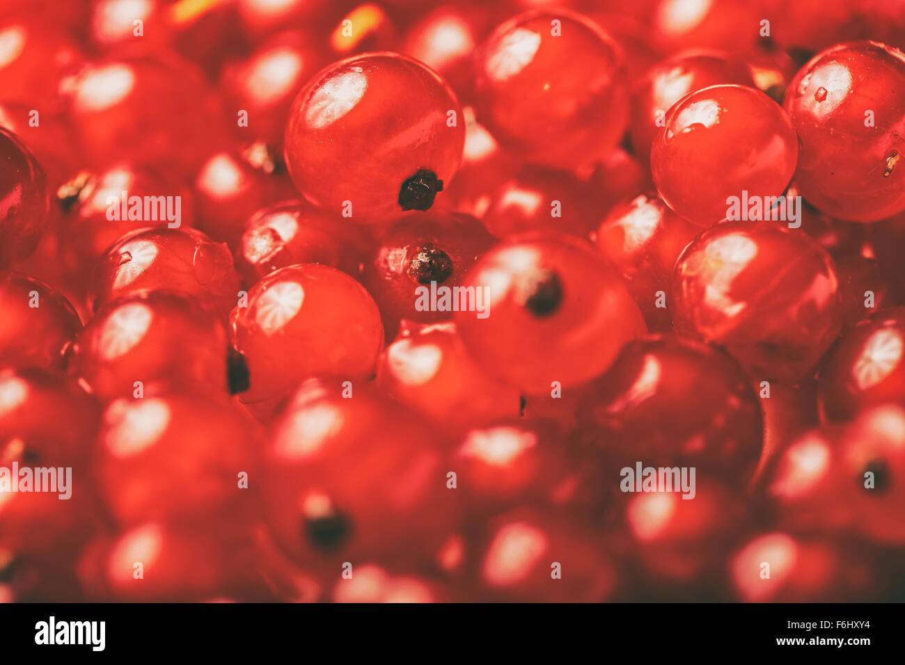 Fresh forest fruits Stock Photo - Alamy