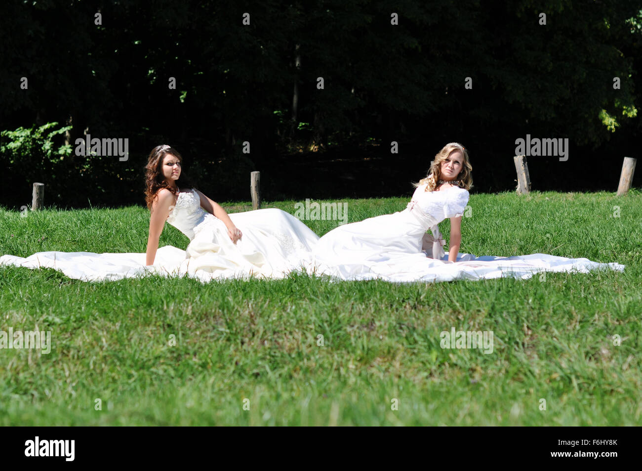 Two funny young brides Stock Photo - Alamy