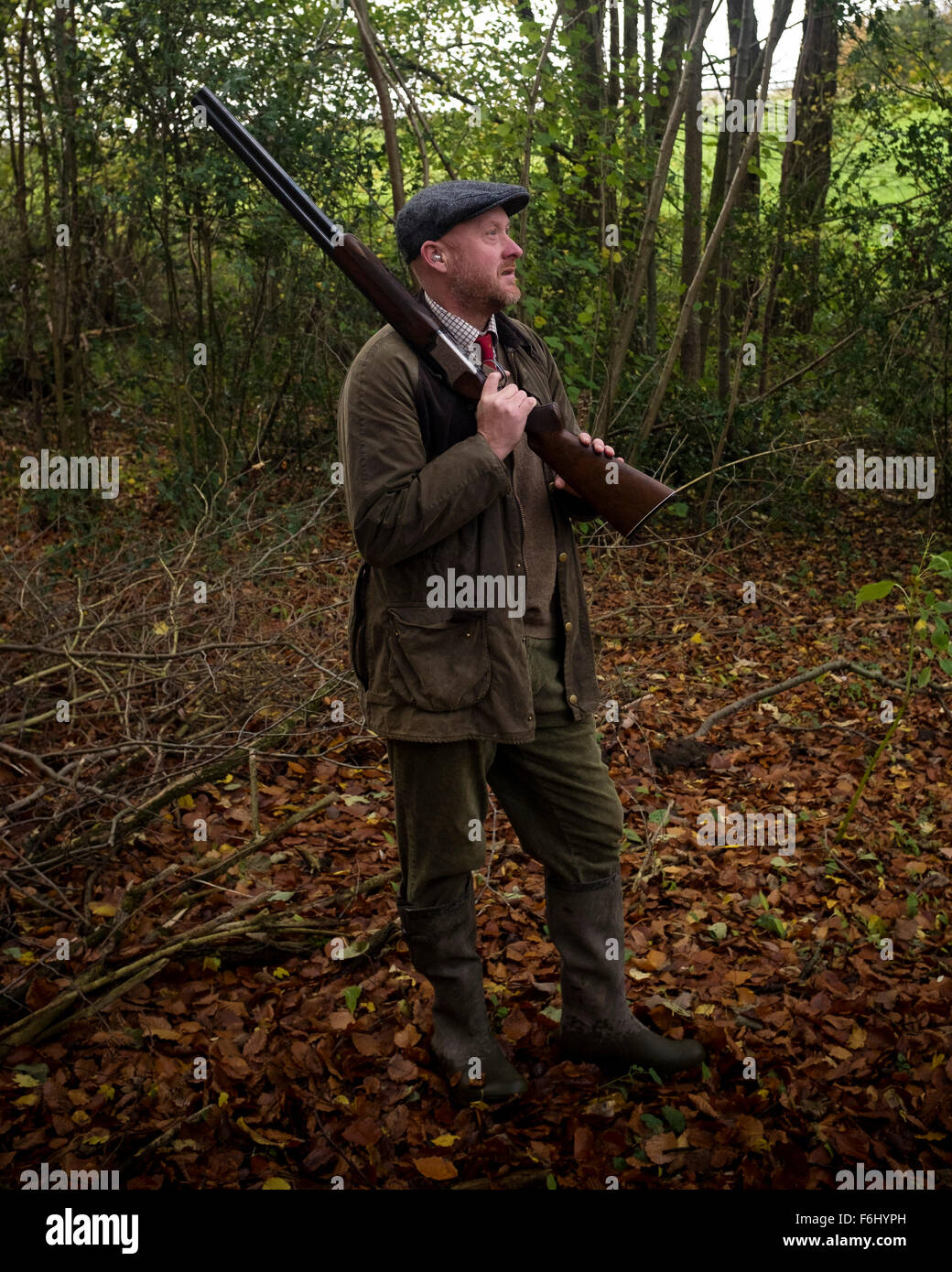 Beater pheasant hi-res stock photography and images - Alamy