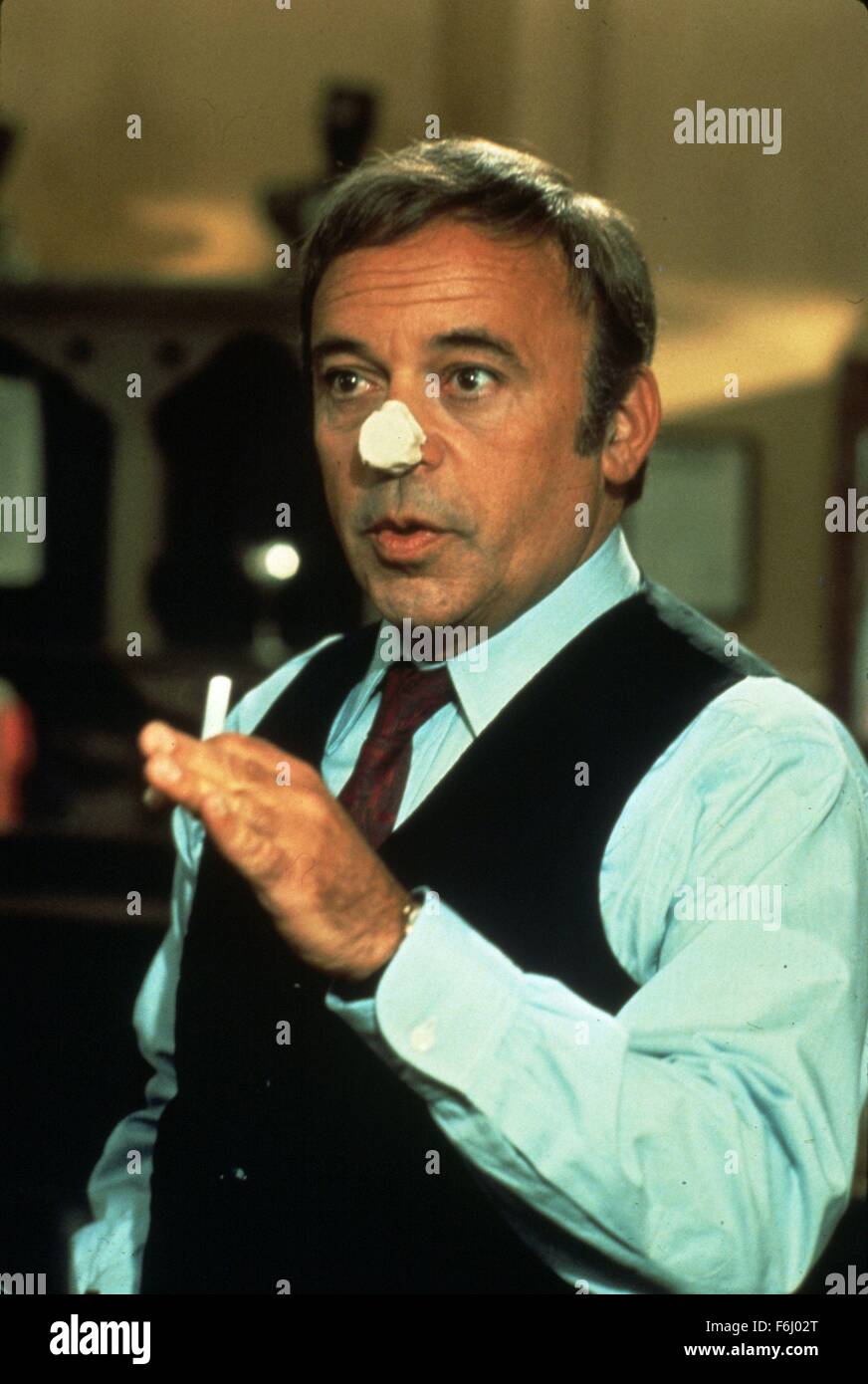1975, Film Title: RETURN OF THE PINK PANTHER, Director: BLAKE EDWARDS ...