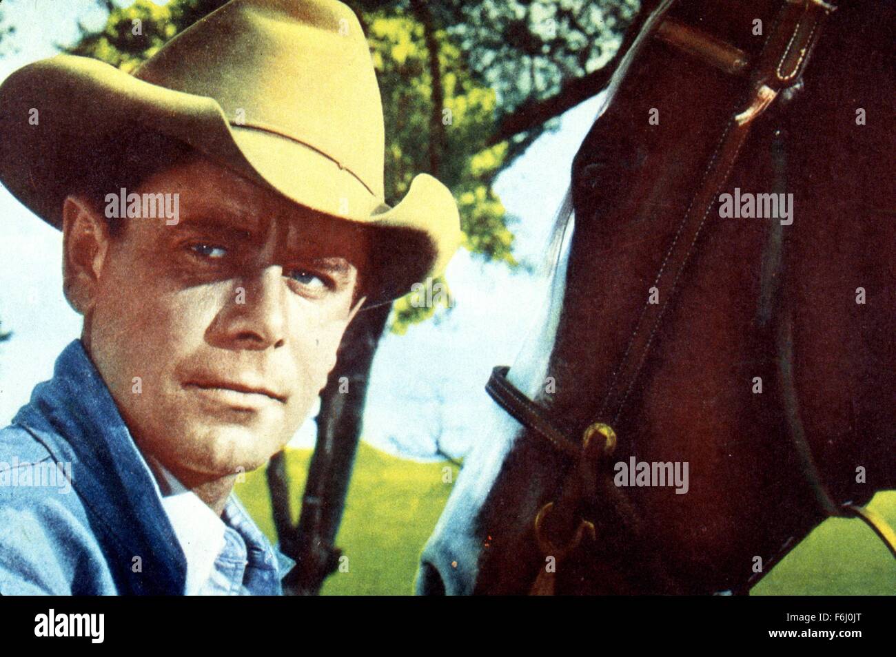 William castle hi-res stock photography and images - Alamy