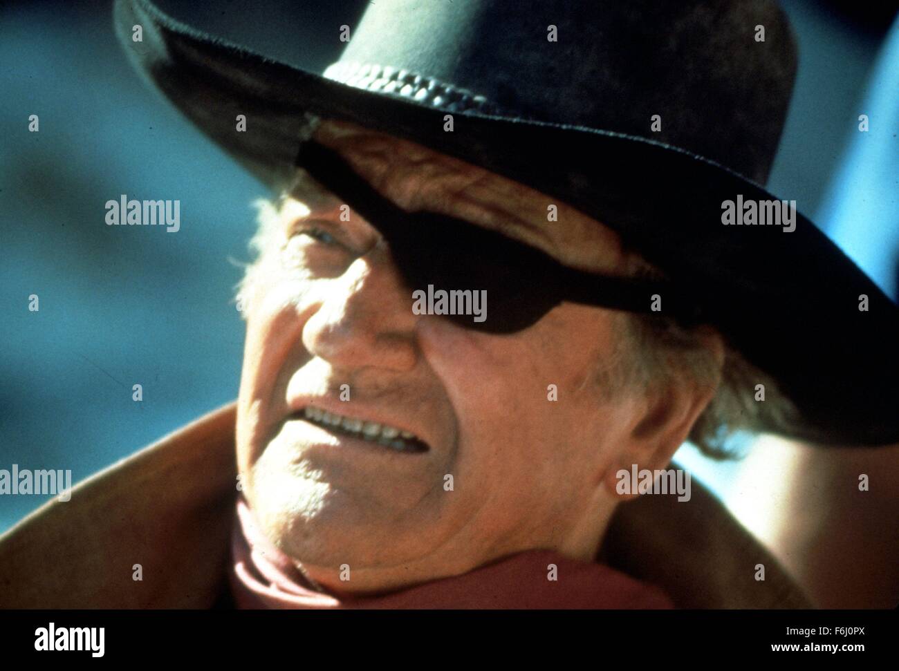 Rooster cogburn hi-res stock photography and images - Alamy