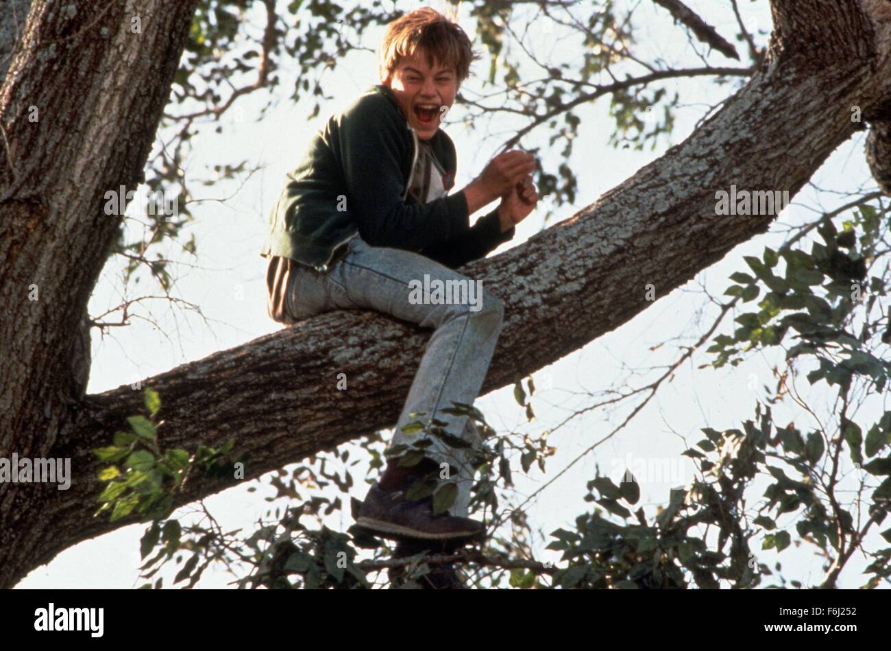 1993, Film Title: WHAT'S EATING GILBERT GRAPE?, Director: LASSE ...