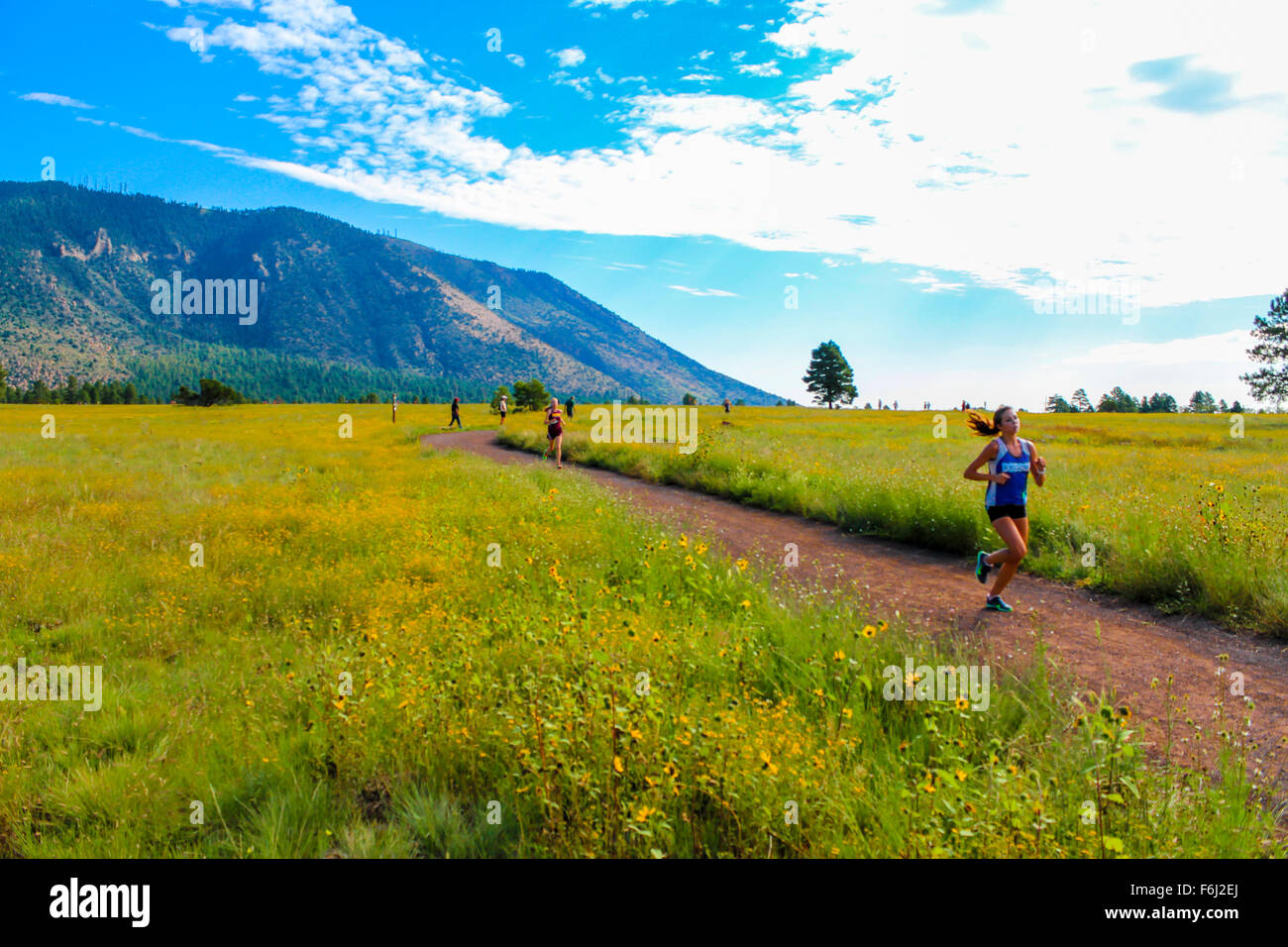 Running a race in Arizona Stock Photo - Alamy