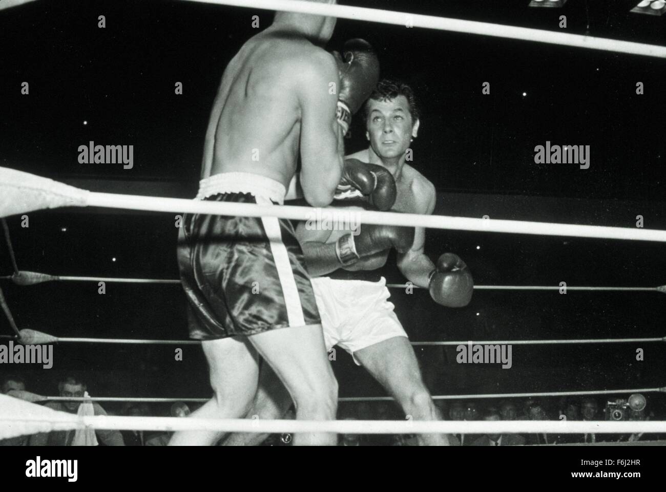 1956, Film Title: SQUARE JUNGLE, Director: BRUCE HUMBERSTONE, Studio ...