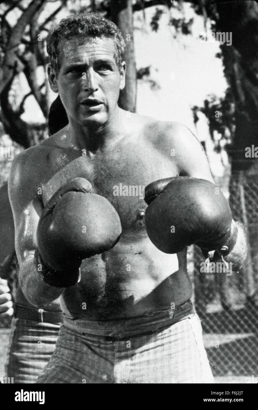 Cool hand luke paul newman hi-res stock photography and images - Alamy