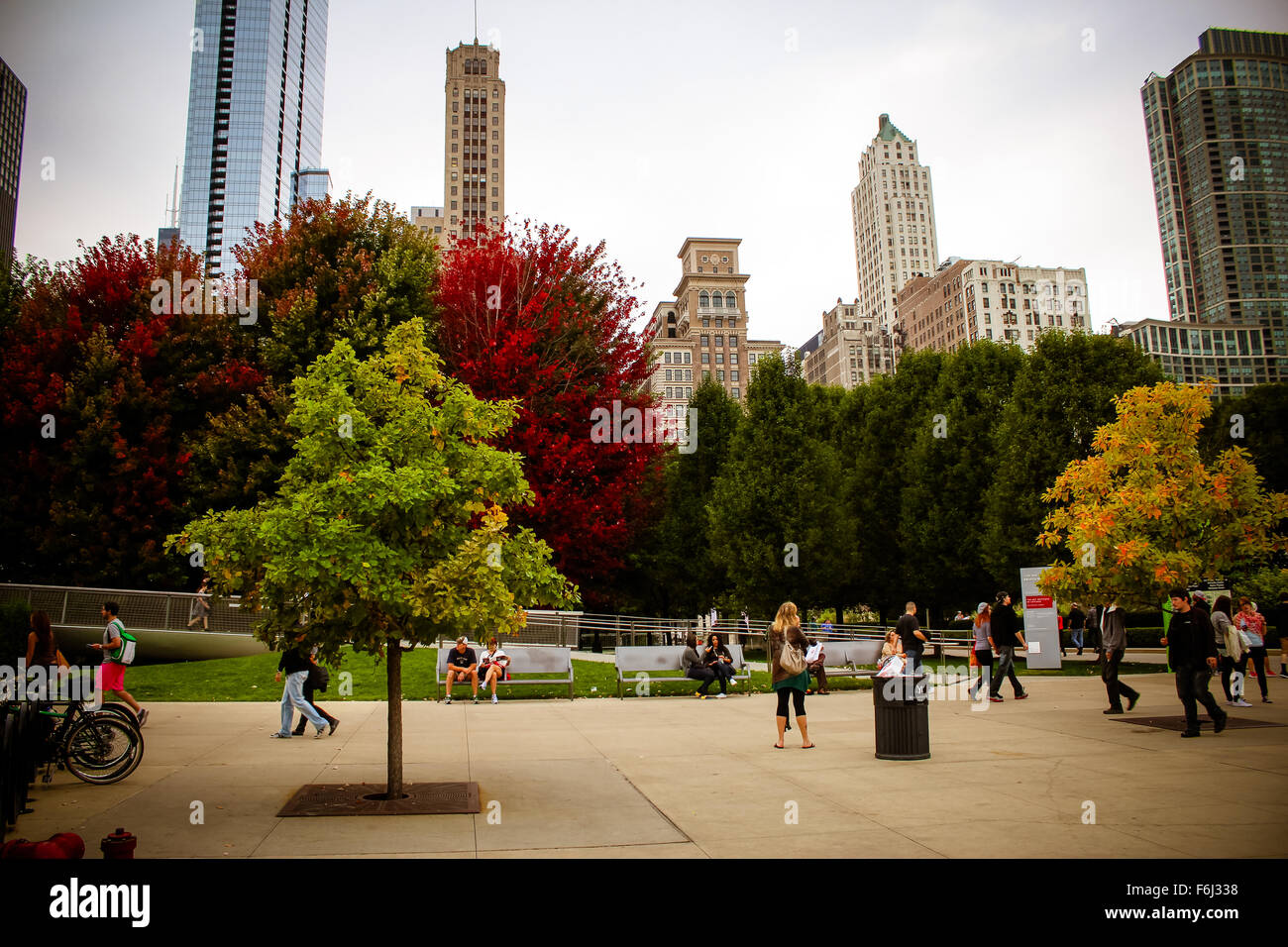 Chicago illinois trees hi-res stock photography and images - Alamy