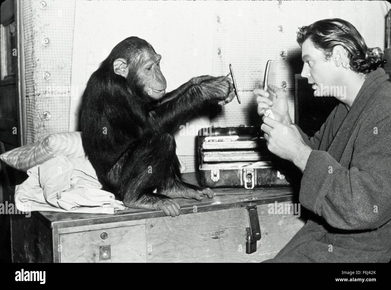 1942, Film Title: TARZAN'S NEW YORK ADVENTURE, Director: RICHARD THORPE ...