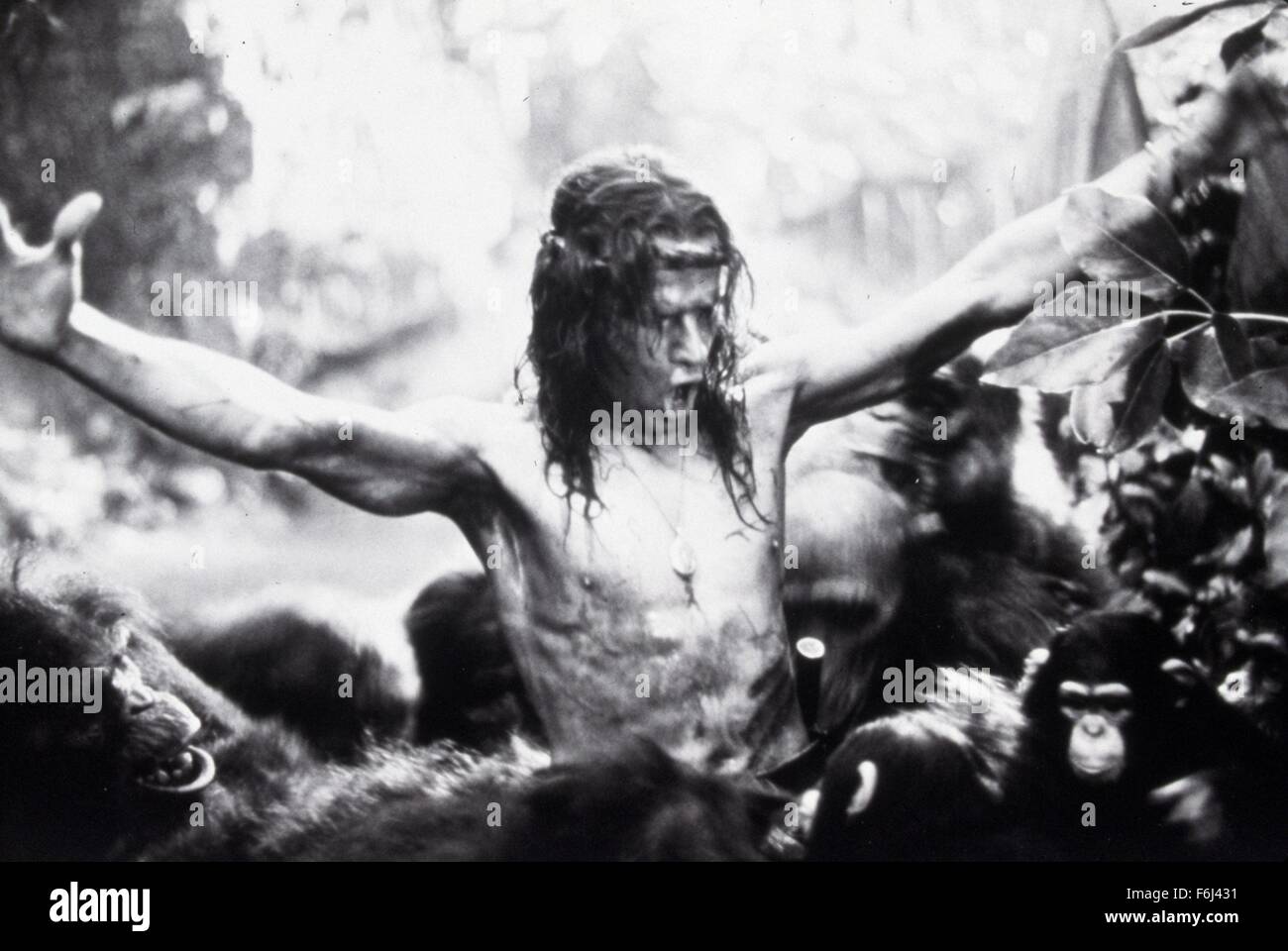 The legend of tarzan lord of the apes hi-res stock photography and ...