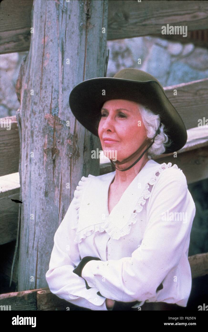 The thorn birds hi-res stock photography and images - Alamy