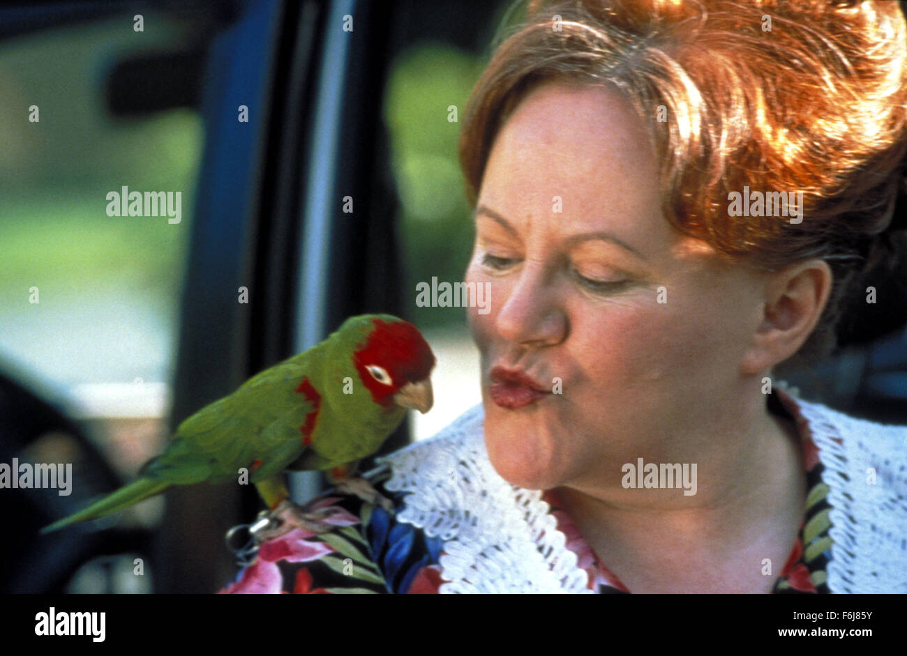 Air Bud Spikes Back Katija Pevec