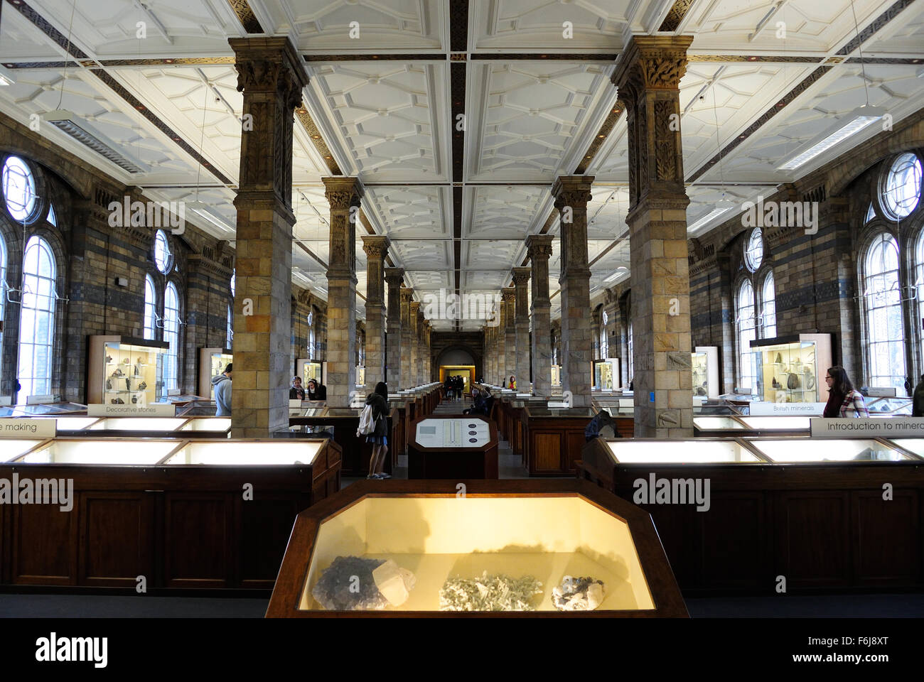 Museum display cabinets hi-res stock photography and images - Alamy