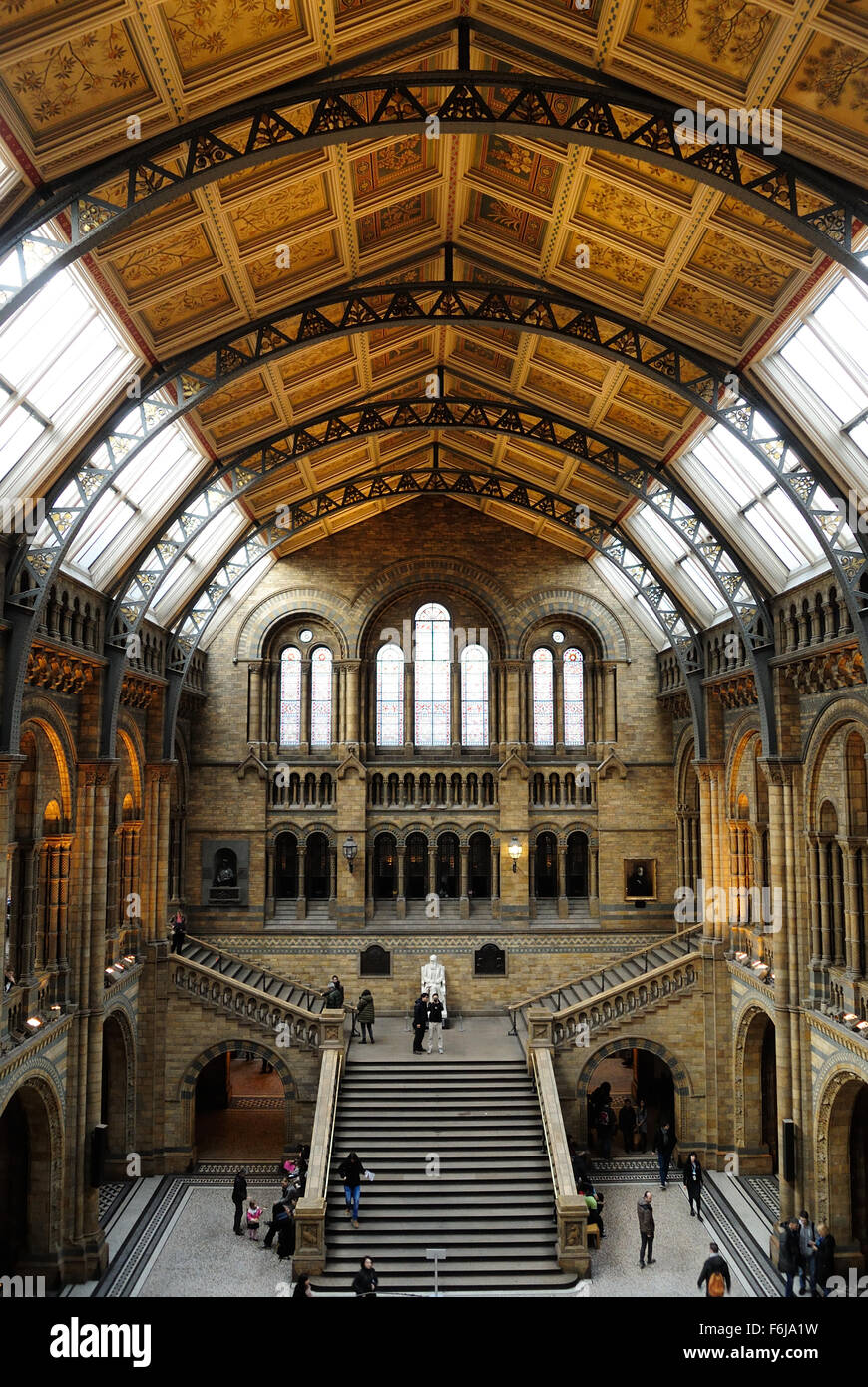 The Hintze Hall in the Natural History Museum, London England UK Stock ...