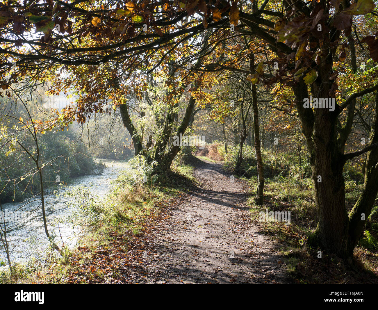 Canal pathway hi-res stock photography and images - Alamy