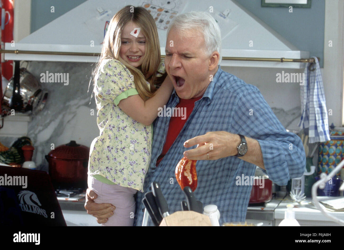 Apr 11, 2003; Hollywood, CA, USA; Image from director Shawn Levy's ...