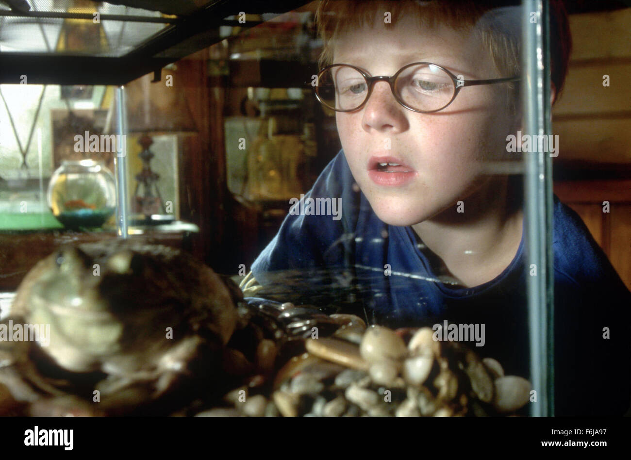 Mike Baker Cheaper By The Dozen