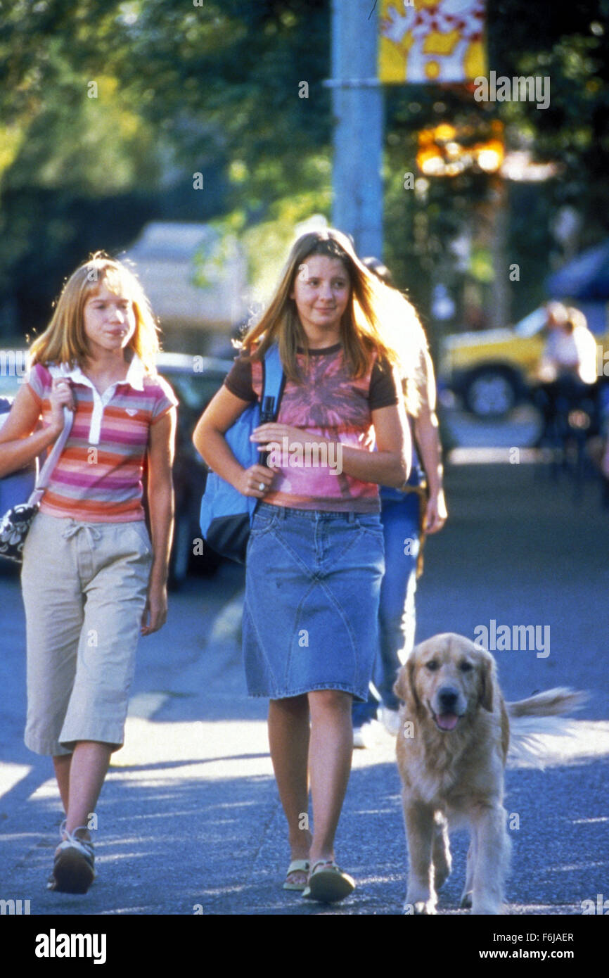 Air Bud Spikes Back Vhs