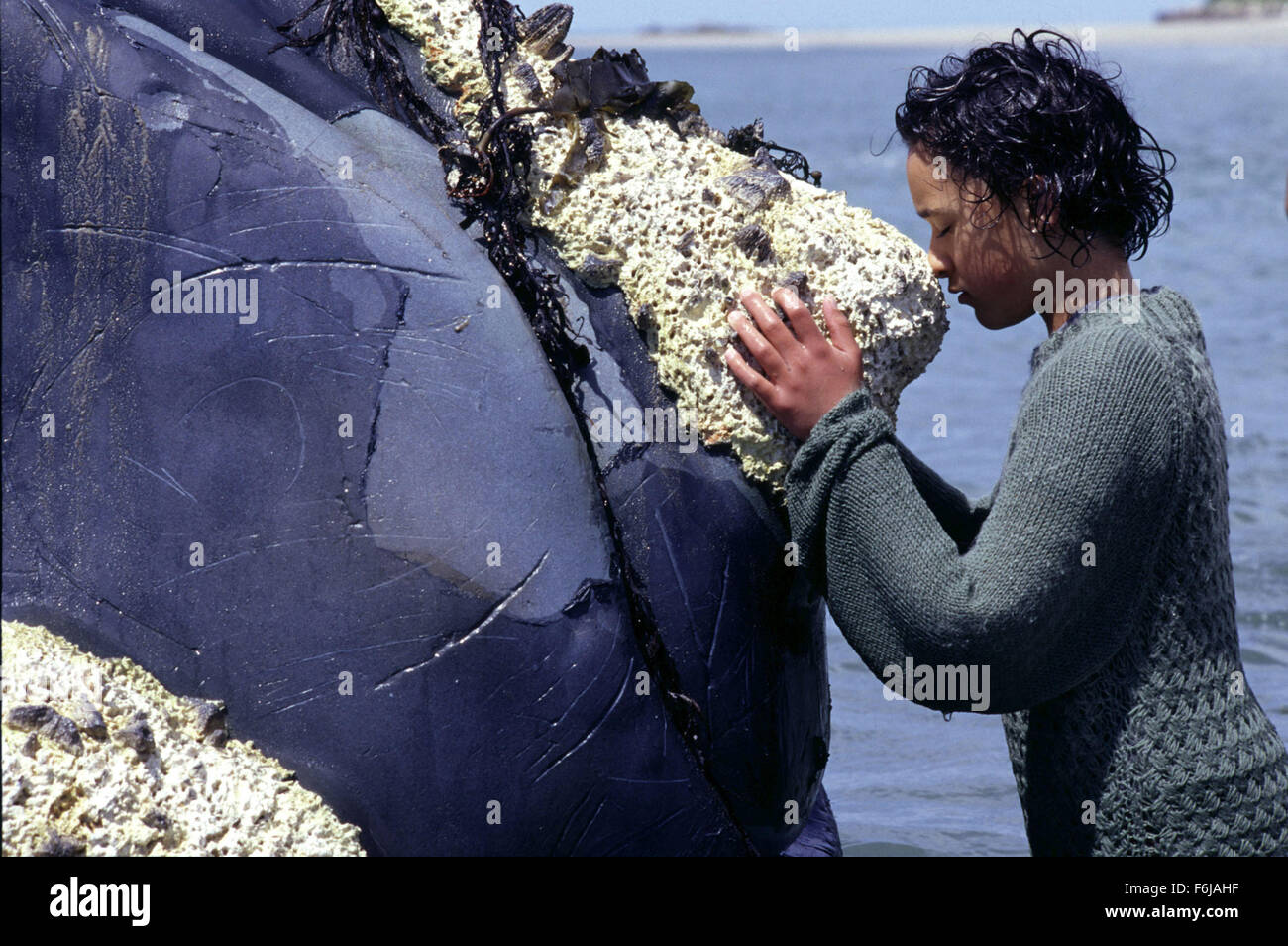RELEASE DATE: 4 July 2003 . MOVIE TITLE: Whale Rider - STUDIO: South ...