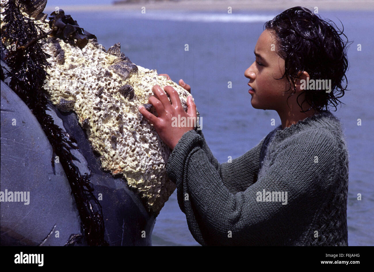 RELEASE DATE: 4 July 2003 . MOVIE TITLE: Whale Rider - STUDIO: South ...