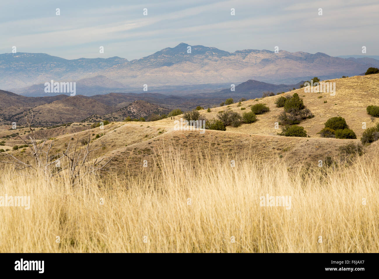 The Rincon Mountains beyond the Santa Rita Mountains grassland hills ...